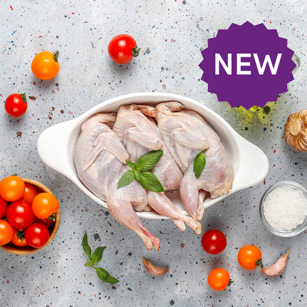 Royal Quail - Pack of 4 Pieces – Daarzood